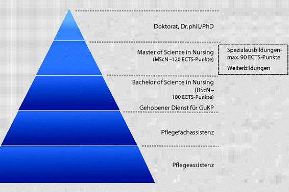 Aufnahmeprozess für die Diplomausbildung abgeschlossen